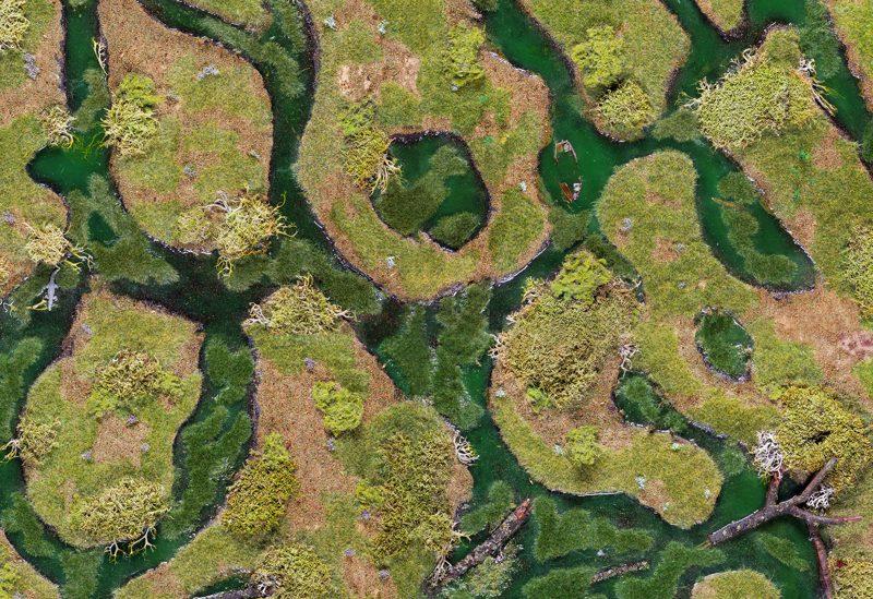 Kraken Wargames: Forsaken Swamp 44"x30" Spielmatte | KWG-CP-19